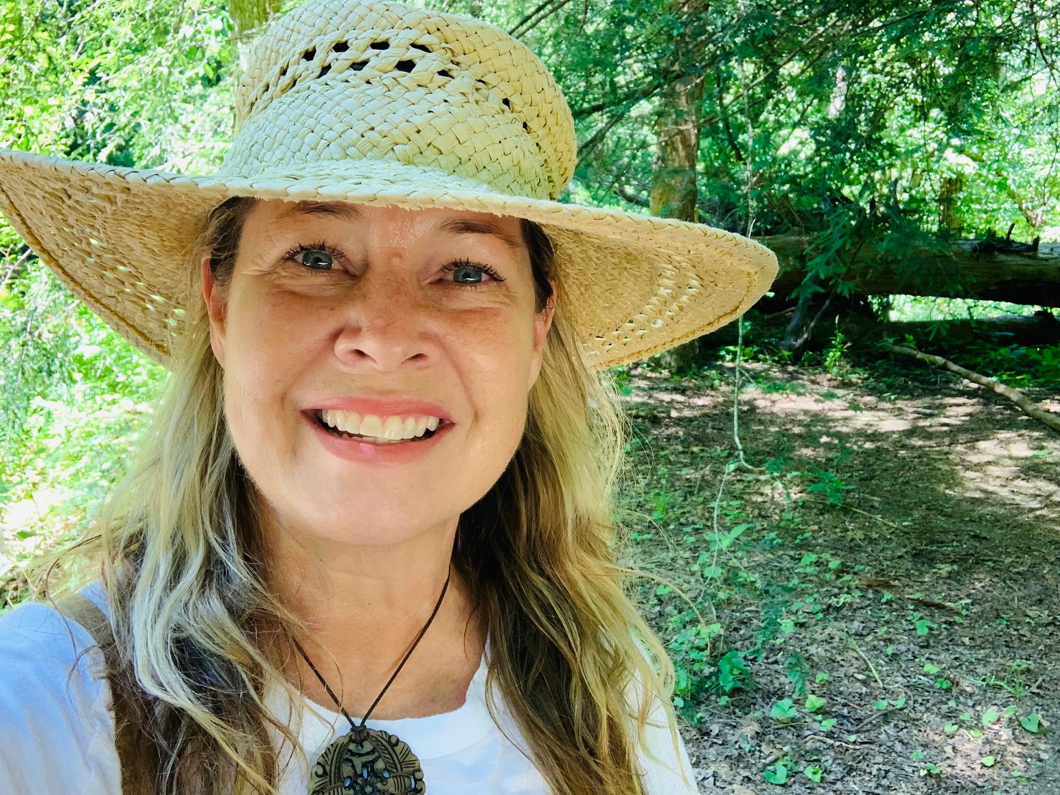 (Video) What is the Summer your Soul Desires? - Renee Trudeau